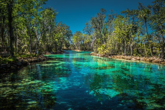 Florida’s incredible hidden springs – Orlando Sentinel